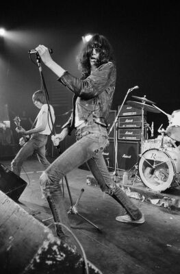 Ramones : Photograph: DOR_TR002 | Iconic Licensing