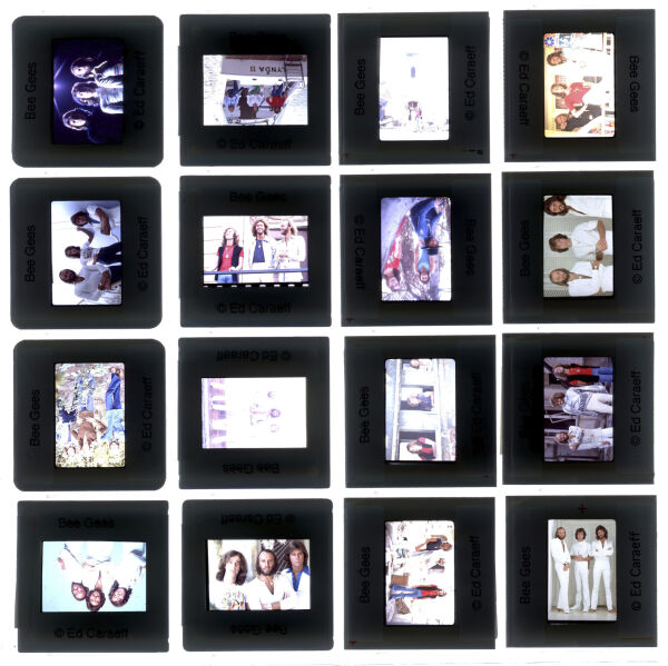 The Bee Gees : Contact sheet: EC_BeeGees_009 | Iconic Licensing