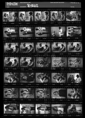 : Contact sheet: EC_Cream_005 | Iconic Licensing