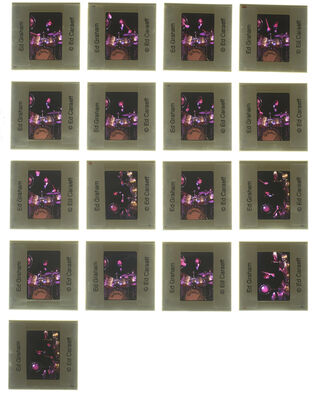 Ed Graham : Contact sheet: EC_EdGraham_002 | Iconic Licensing