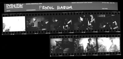 : Contact sheet: EC_ProcolHarum_003 | Iconic Licensing