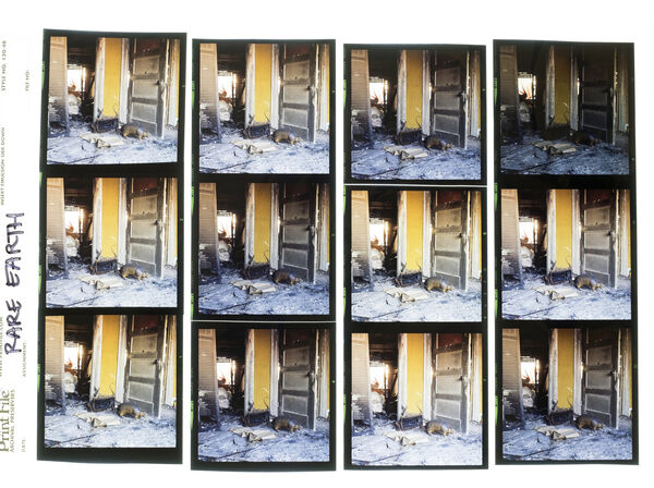 Rare Earth : Contact sheet: EC_RareEarth_015 | Iconic Licensing