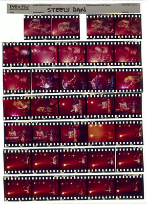 Steely Dan : Contact sheet: EC_SteelyDan_020 | Iconic Licensing