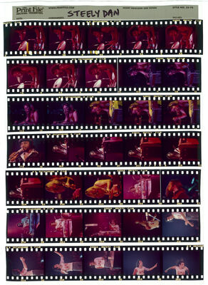 Steely Dan : Contact sheet: EC_SteelyDan_023 | Iconic Licensing
