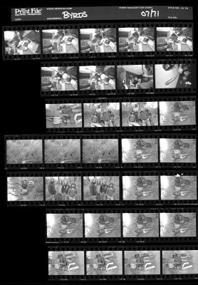 The Byrds : Contact sheet: EC_TheByrds_044 | Iconic Licensing
