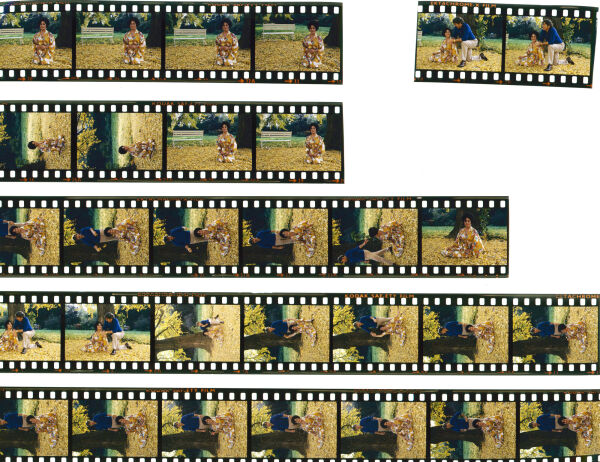 Elizabeth Taylor : Contact sheet: ETaylor_Contact_078 | Iconic Licensing