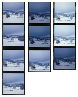 Larry Lee : Photograph: GM_LarryLee_001C | Iconic Licensing