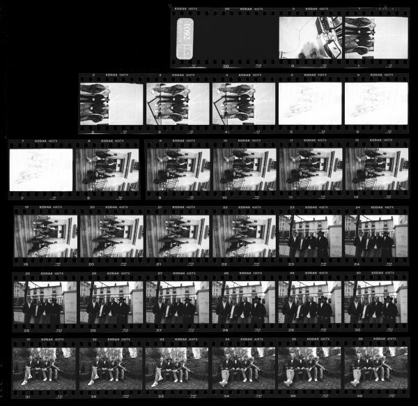 The Pengwins : Contact sheet: GM_ThePengwins_001D | Iconic Licensing