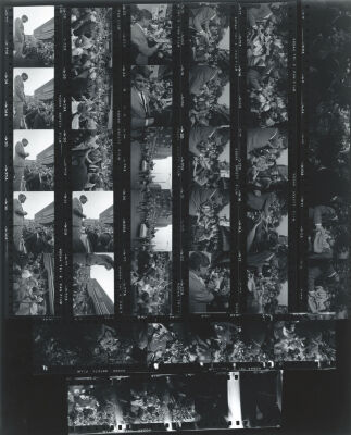 Robert F. Kennedy : Contact sheet: LF_RFK_Box3_015 | Iconic Licensing