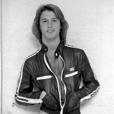 Andy Gibb : Photograph: MB_MU_AG003 | Iconic Licensing