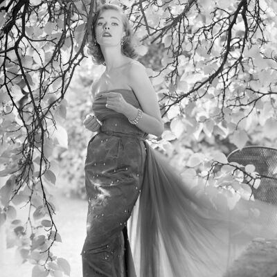 Susan Abraham : Photograph: NP_FA_50s060 | Iconic Licensing