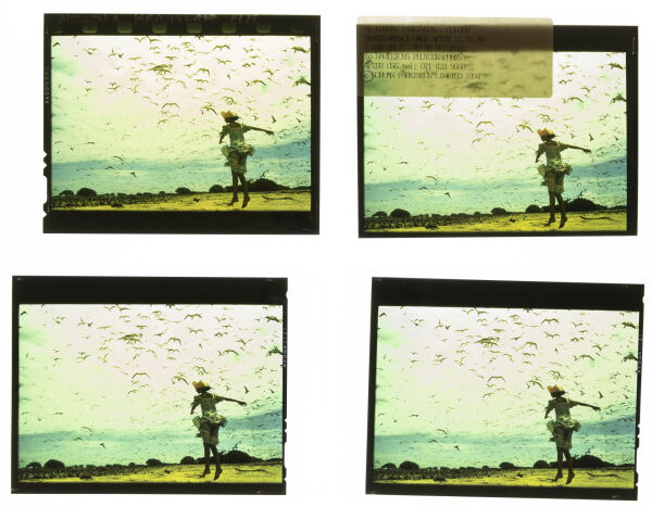 Apollonia van Ravenstein : Contact sheet: NP_NP06F3_1971_032 | Iconic ...