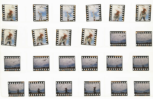 Apollonia van Ravenstein : Contact sheet: NP_NP06F3_1971_040 | Iconic ...