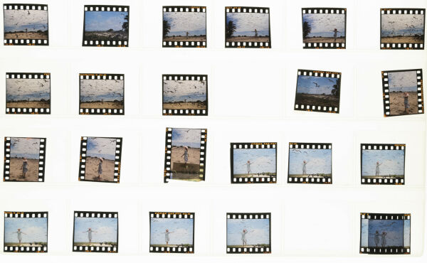 Apollonia van Ravenstein : Contact sheet: NP_NP06F3_1971_042 | Iconic ...