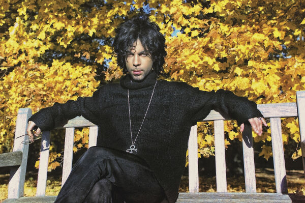 Prince : Photograph: SP_PR100 | Iconic Licensing